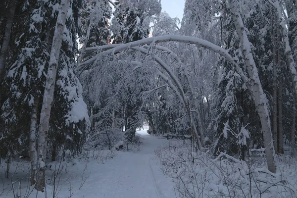 Heavy laden Stock Photos, Royalty Free Heavy laden Images | Depositphotos®