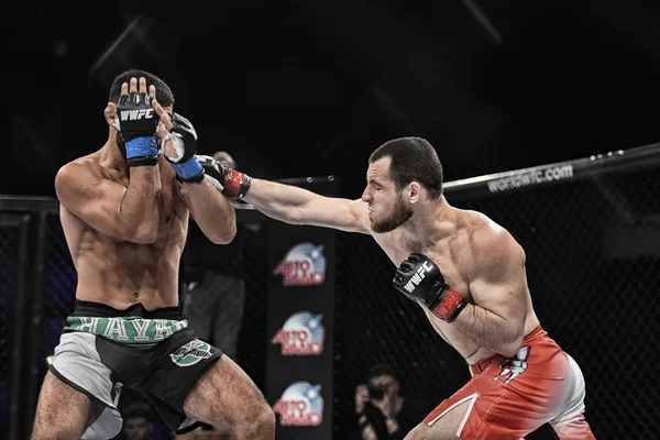 Mma fight Stock Photos, Royalty Free Mma fight Images | Depositphotos