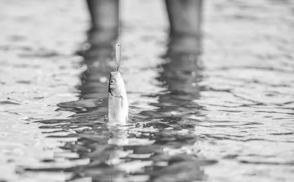 You catch fish Stock Photos, Royalty Free You catch fish Images ...