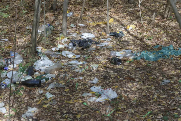 Rubbish environment Stock Photos, Royalty Free Rubbish environment ...