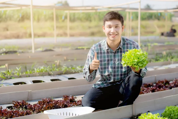 Young organic farmer Stock Photos, Royalty Free Young organic farmer ...