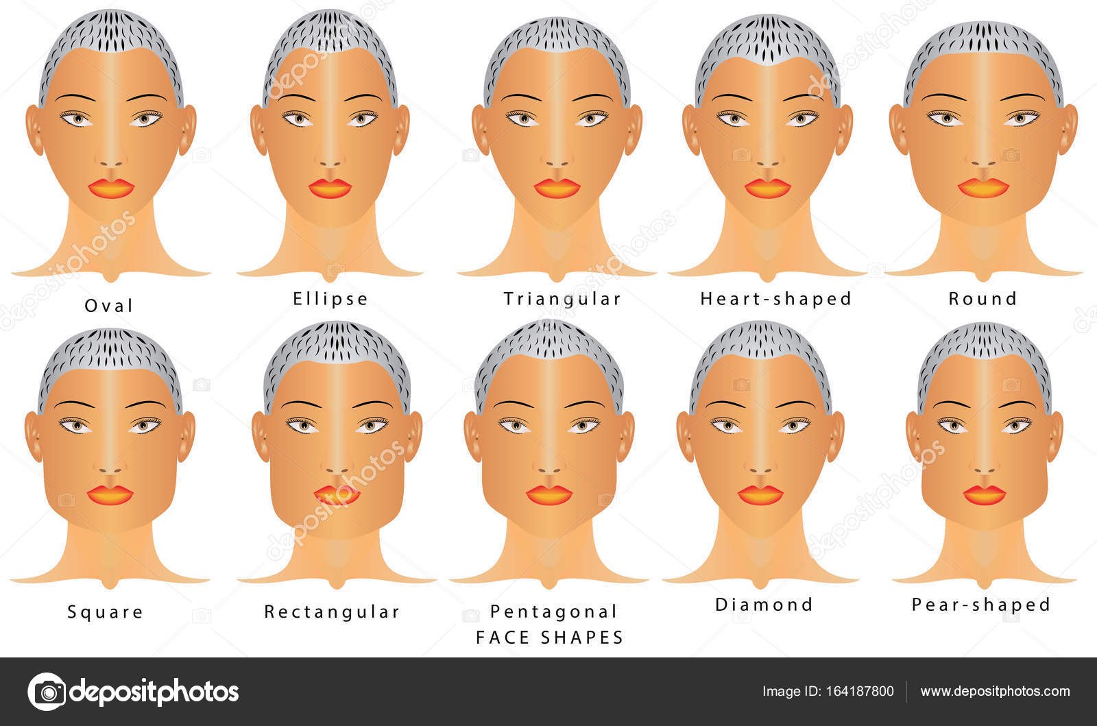 Types of faces Stock Vector Image by ©anutuno #164187800