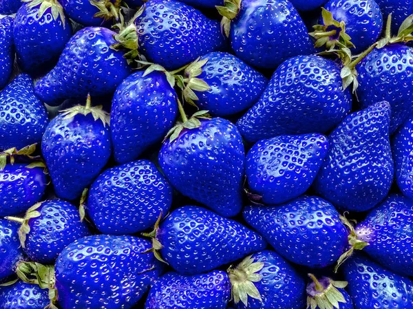 Blue Strawberry