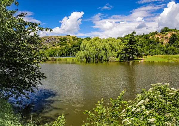 Wild sarka Stock Photos, Royalty Free Wild sarka Images | Depositphotos