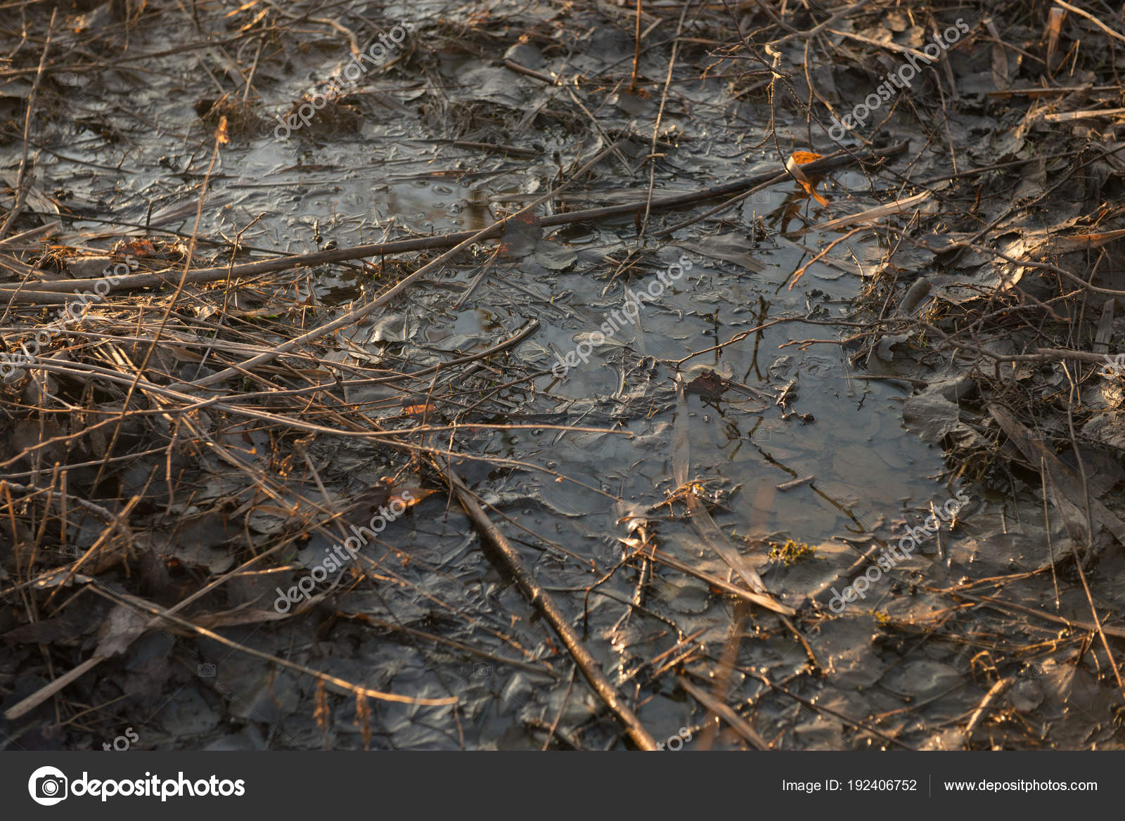 Puddle Mud Leaves Close — Stock Photo © olegkrugllyak #192406752