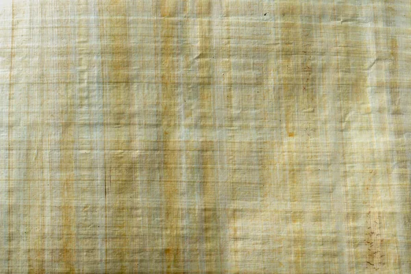 Light Papyrus Texture