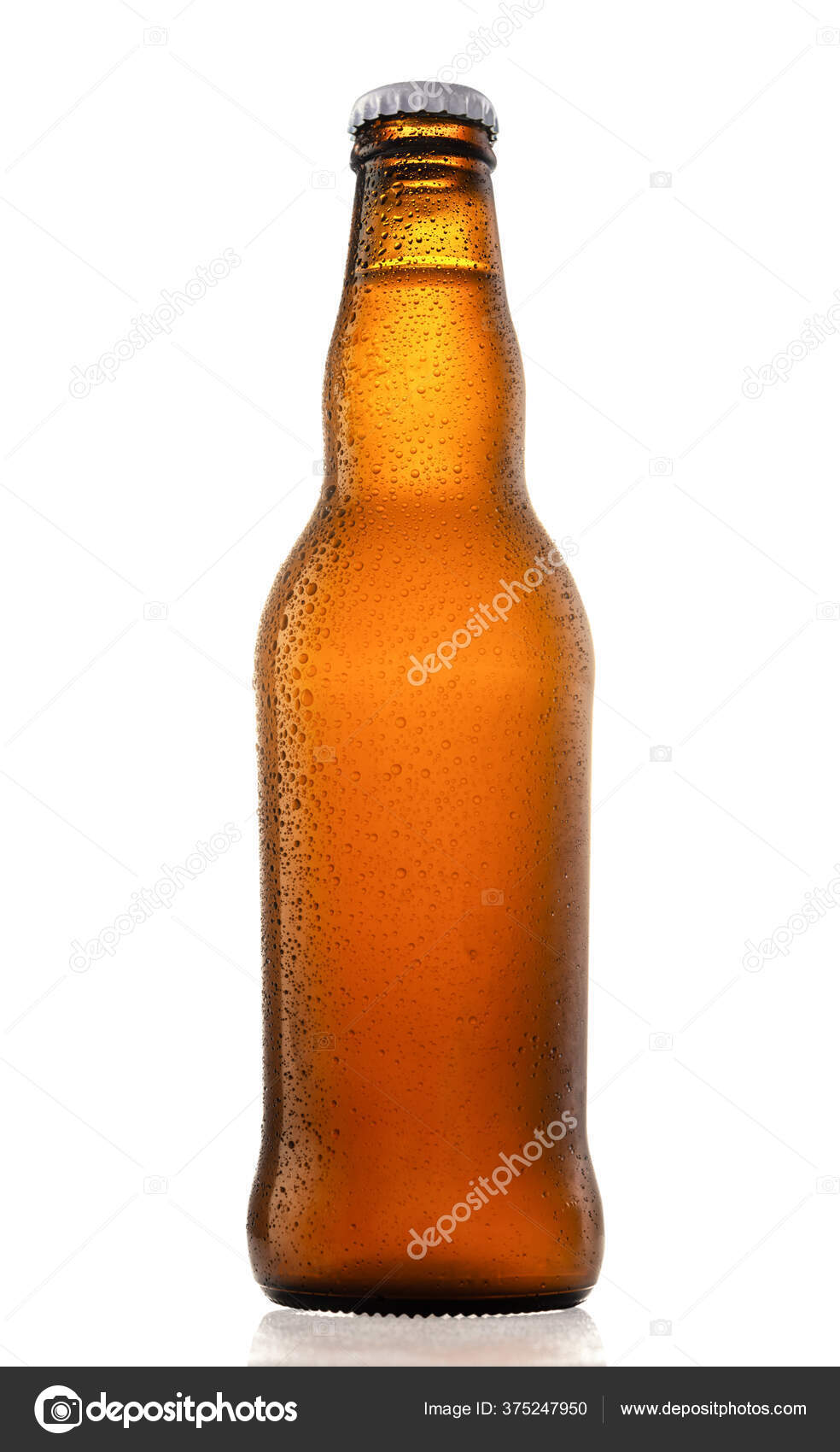 Beer Bottle Isolated White Background — Stock Photo © olegkrugllyak ...