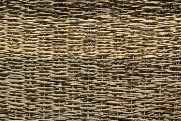 Reed texture Images - Search Images on Everypixel