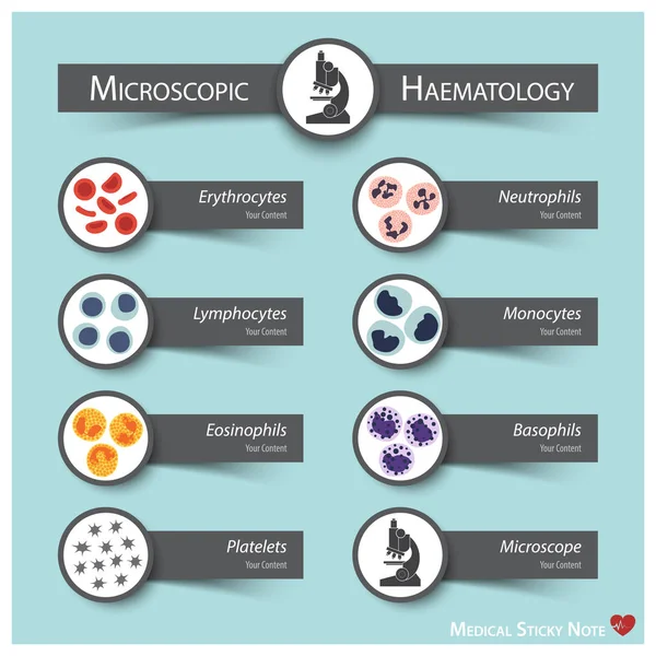 Haematology Vector Art Stock Images | Depositphotos