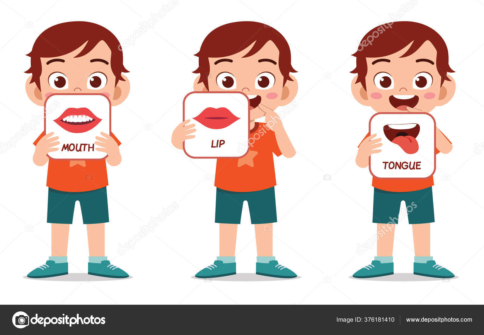 幸せなかわいい男の子の体の一部解剖学 ストックベクター ©colorfuelstudio 376181410