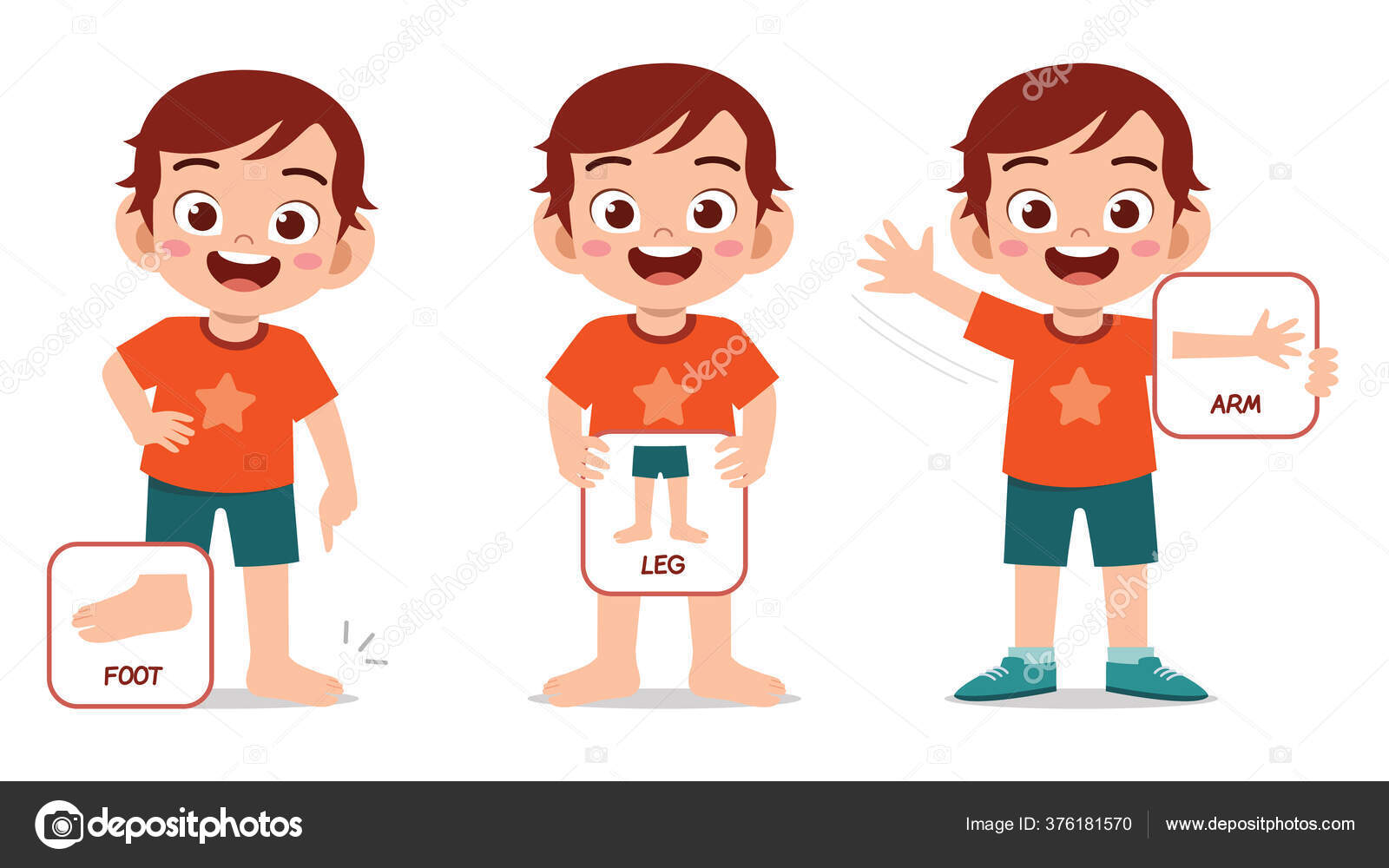 Счастливый Симпатичный Мальчик Анатомия Части Тела Стоковый вектор ...