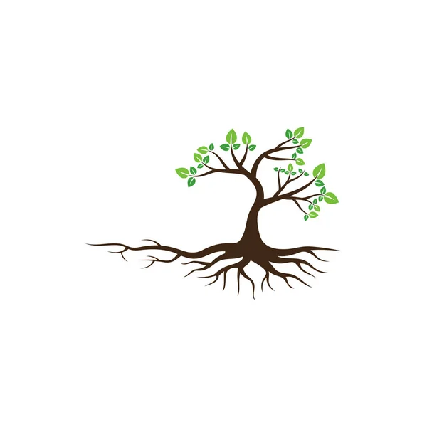 100,000 Deep roots plant Vector Images | Depositphotos