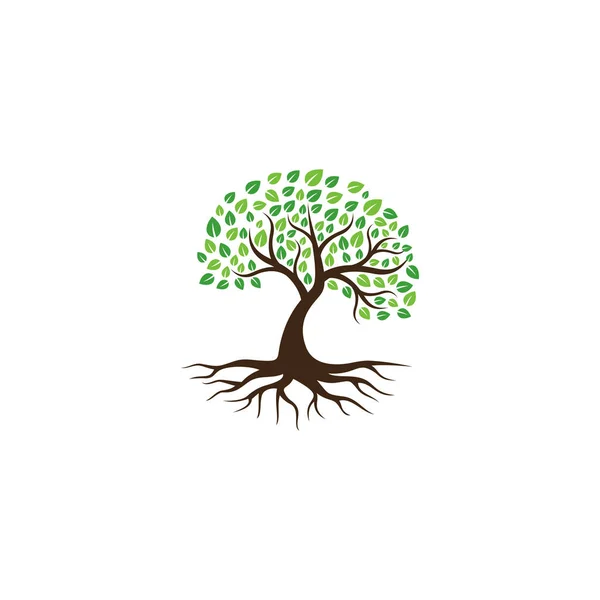 13,348,652 Deep roots plant Vector Images | Depositphotos