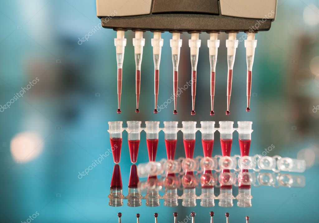 Carga de muestras de PCR para análisis de ADN con multipipeta 2023