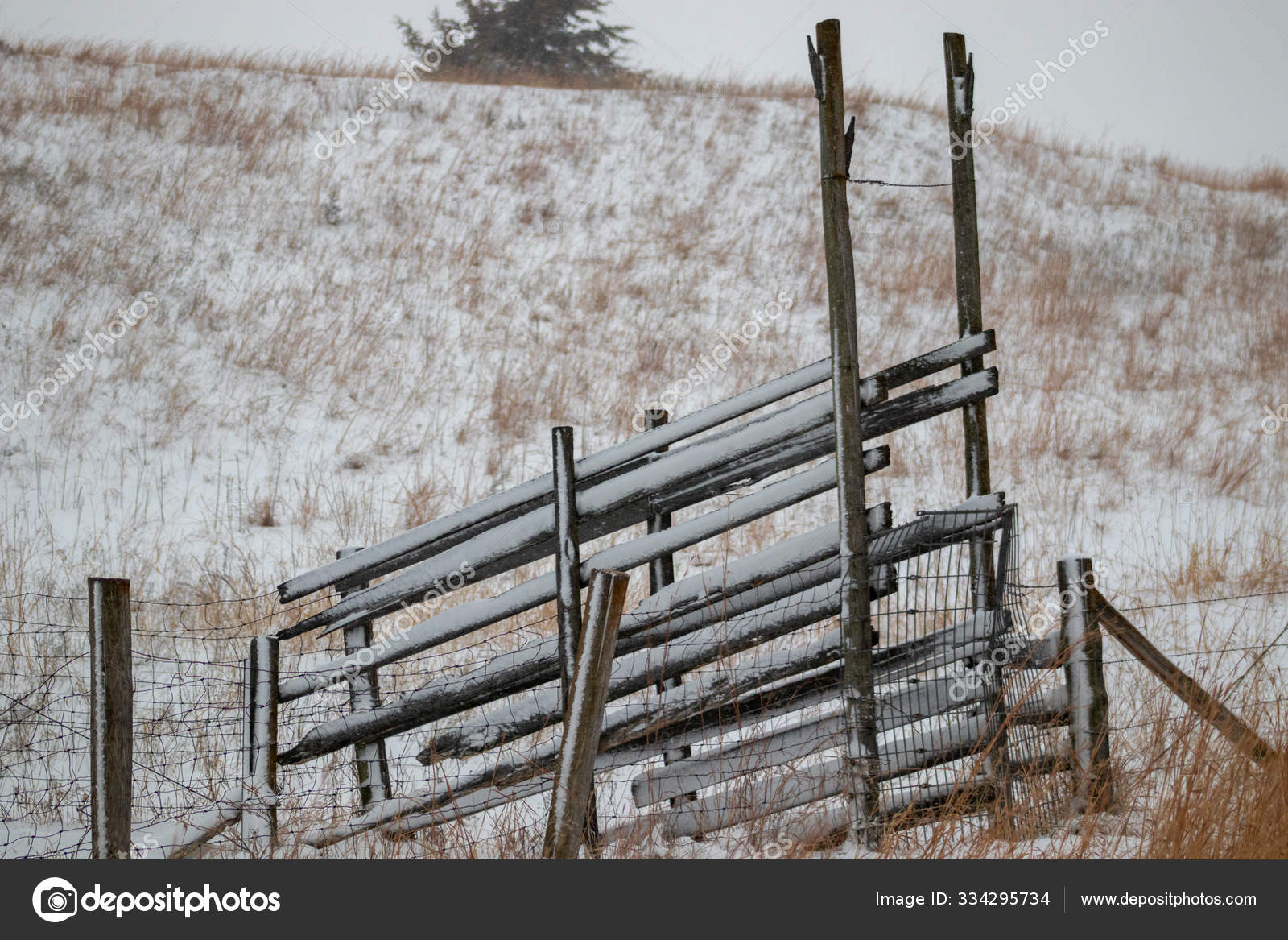 Old Wooden Cattle Loading Corral Ramp — Stock Photo © Gwells #334295734