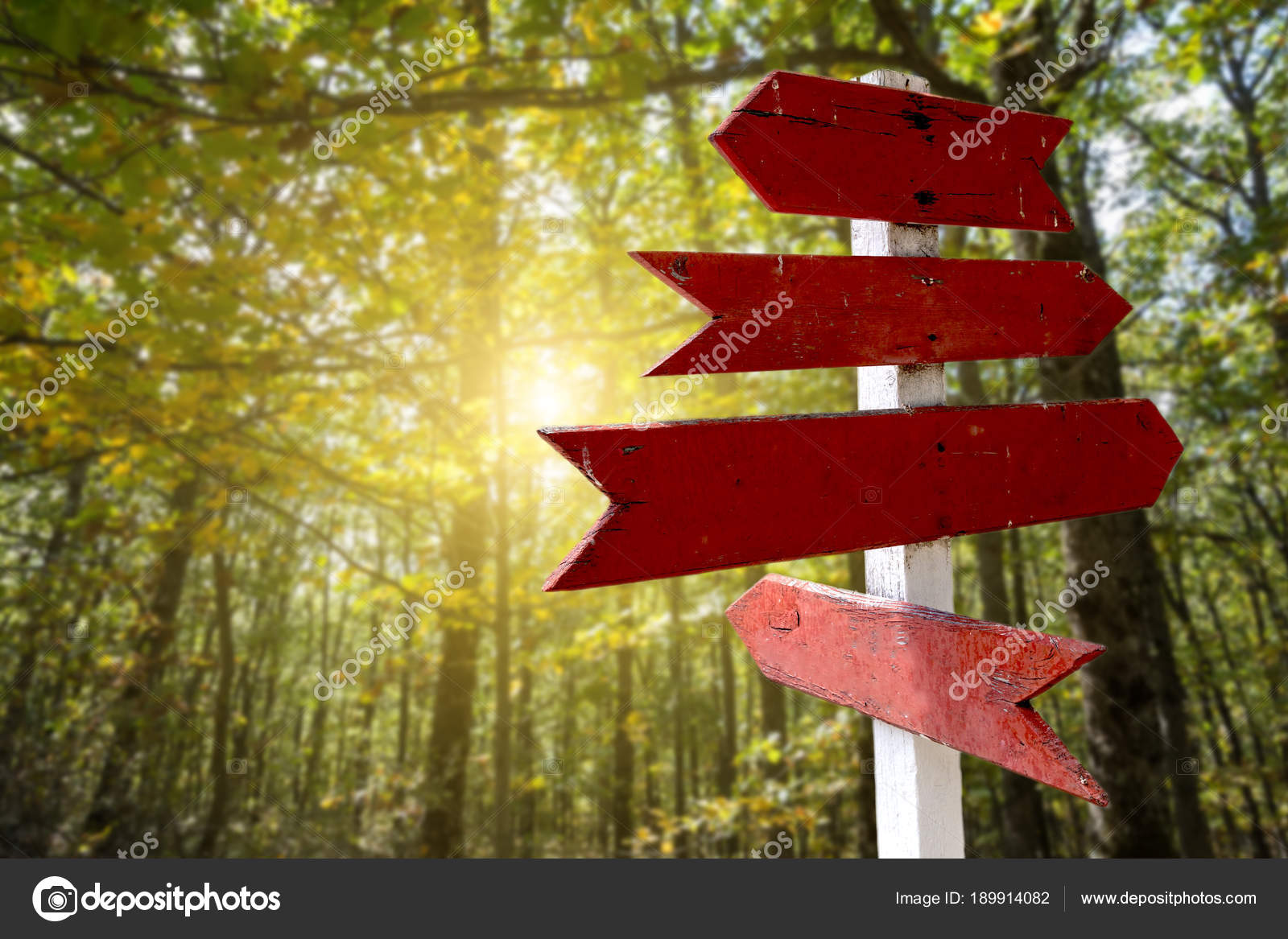 Red wooden directional arrow signs in green forest background Stock ...