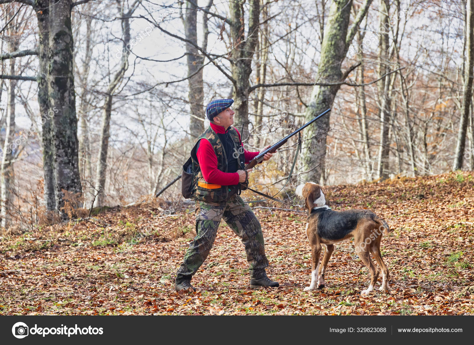 Hunter and hunting dog chasing in the forest Stock Photo by ©vverve ...