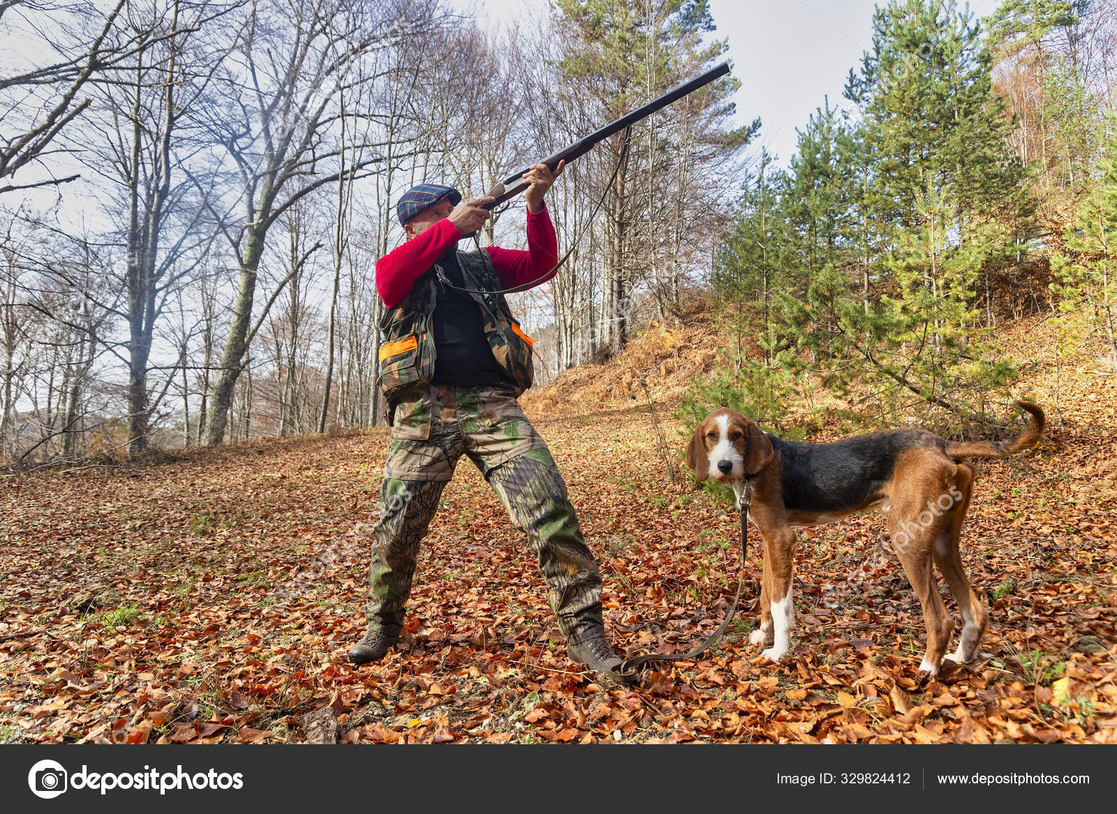 Hunter and hunting dog chasing in the forest Stock Photo by ©vverve ...