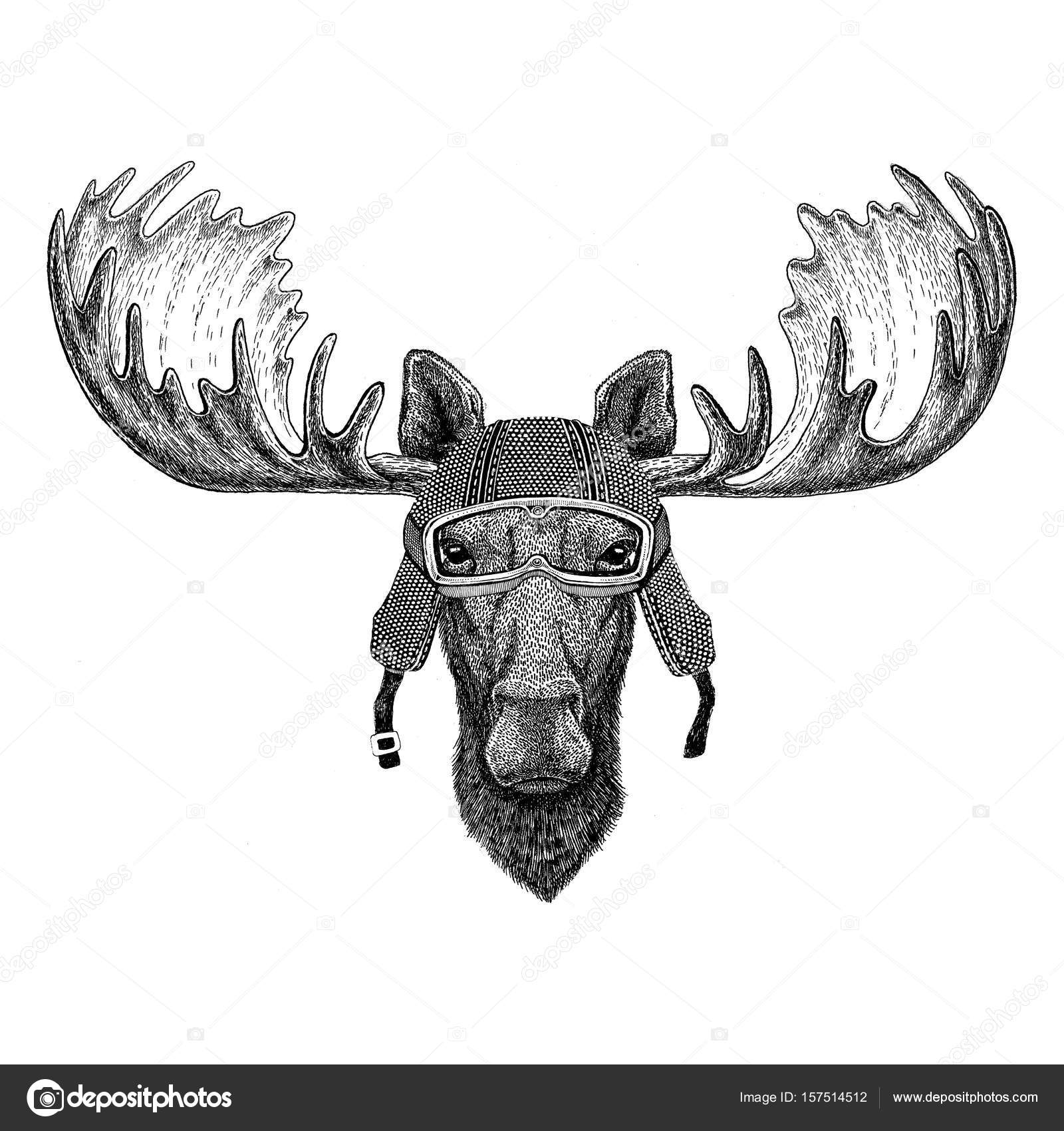 Moose, elk wearing vintage motorcycle helmet Tattoo, badge, emblem ...