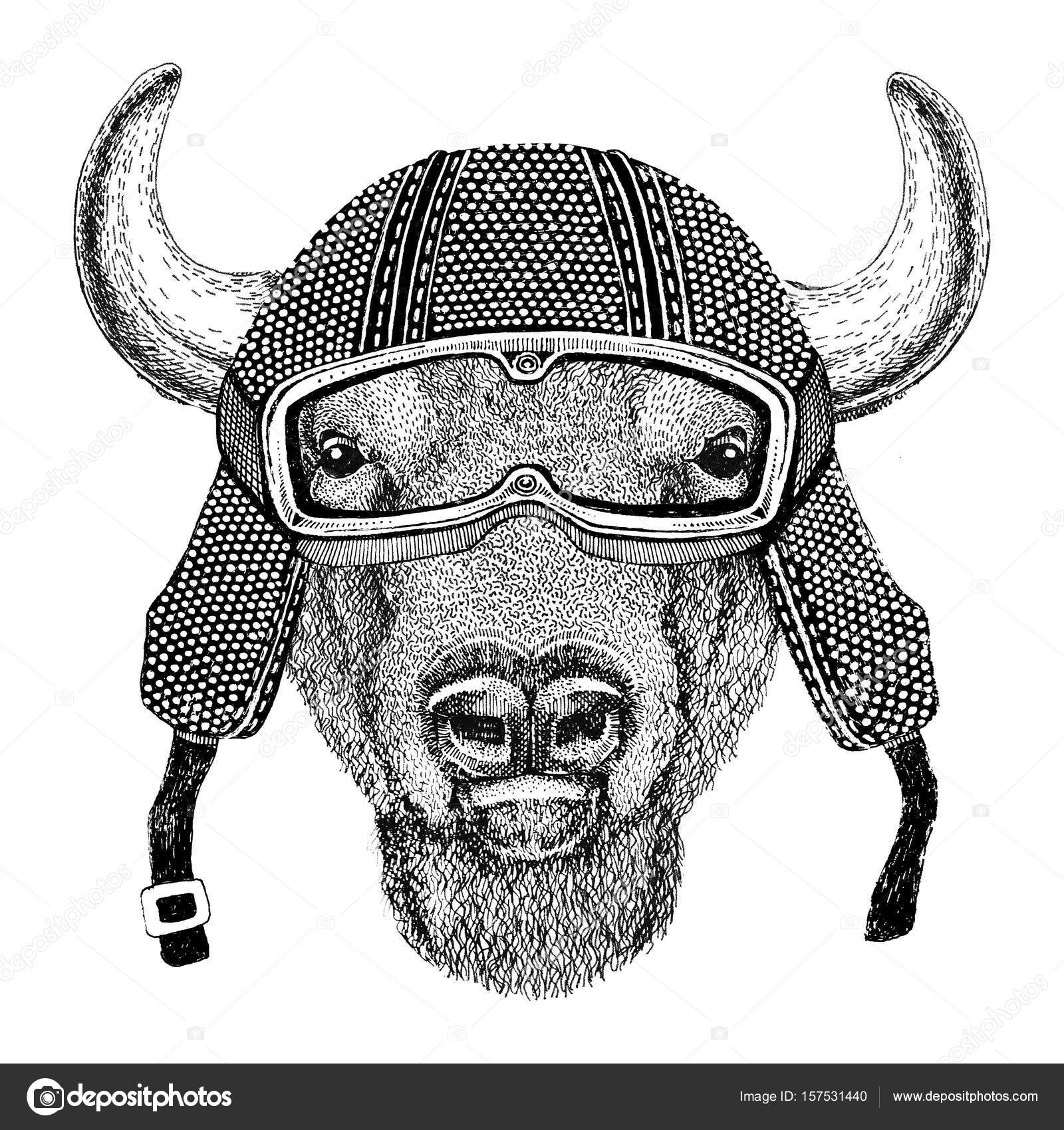 Buffalo, bison,ox, bull wearing vintage motorcycle helmet Tattoo, badge ...