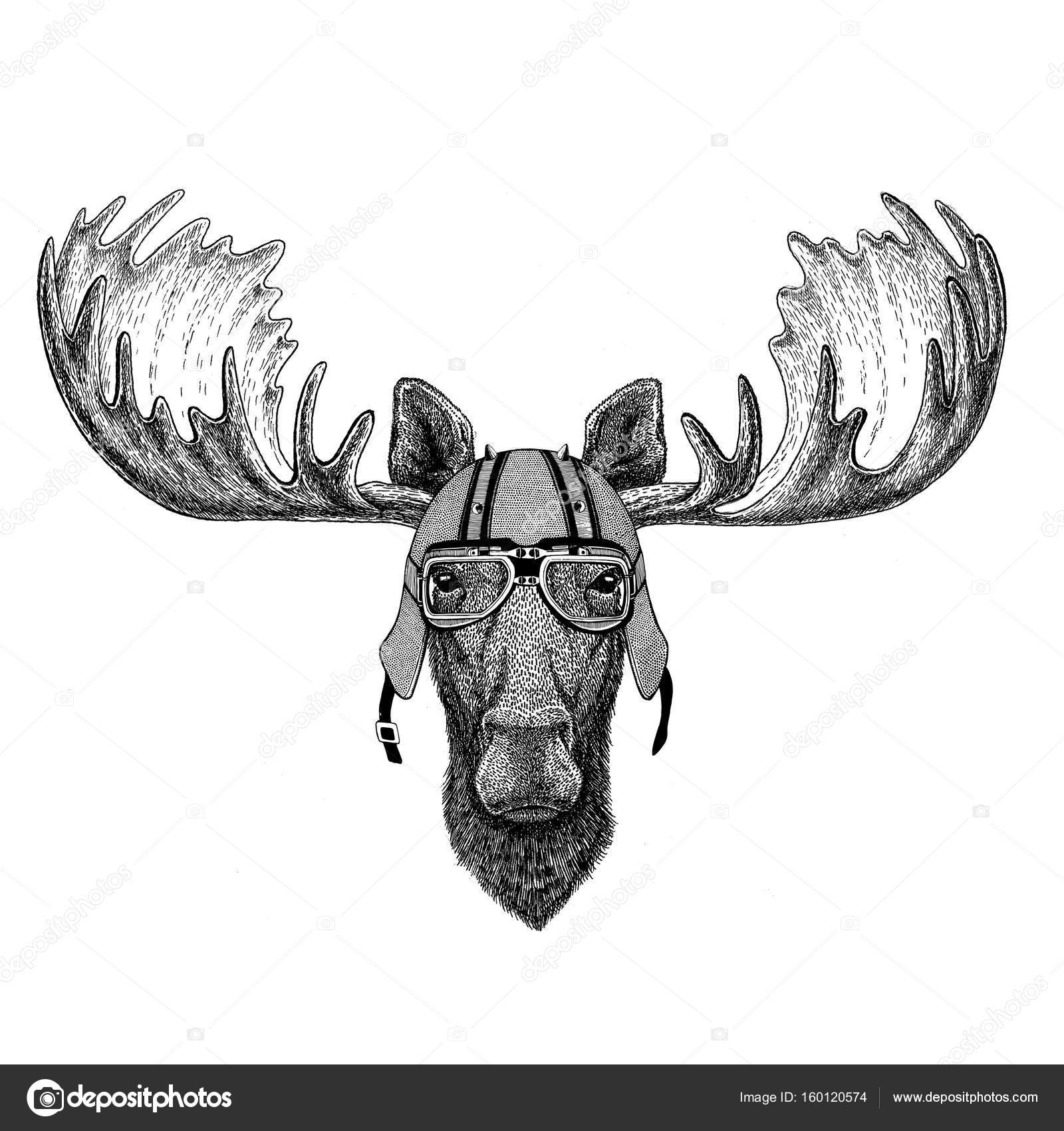 Moose, elk wearing biker helmet Animal with motorcycle leather helmet ...