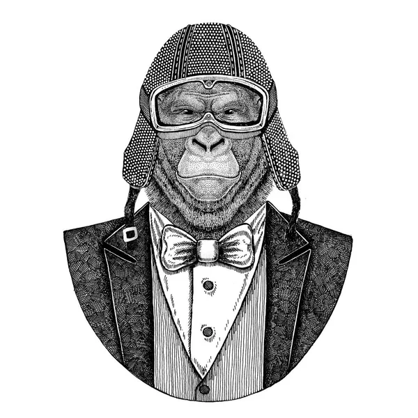 Gorilla, monkey, ape wearing cowboy hat. Wild west animal. Hand drawn ...