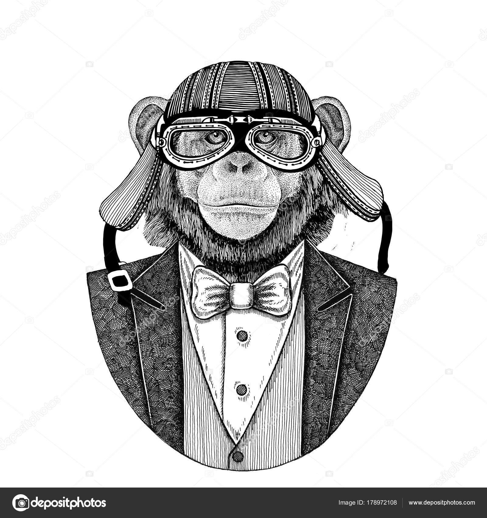 Monkeys Wearing Ties