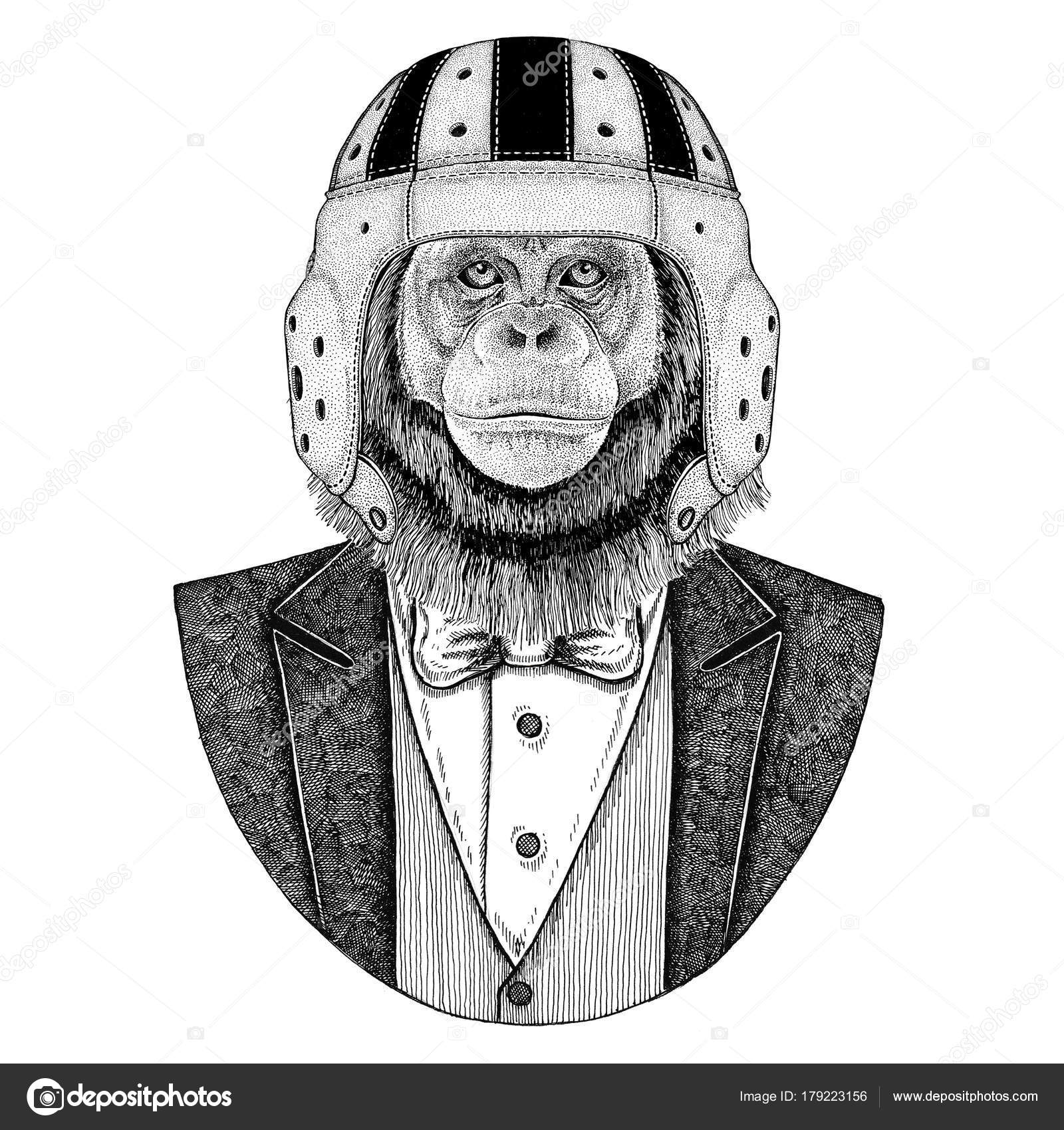 Chimpanzee, Monkey Elegant rugby player. Old school vintage rugby ...