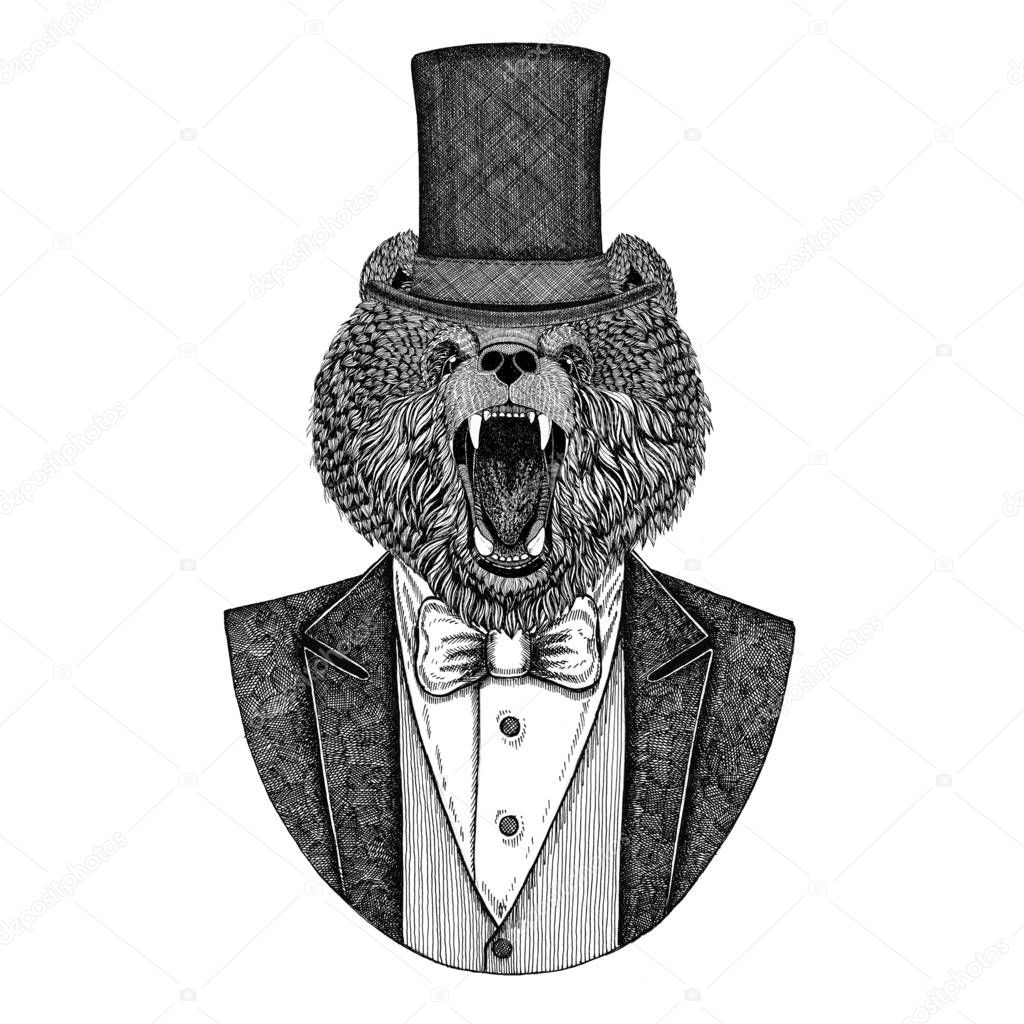 Oso pardo, oso ruso. Chaqueta de animal con pajarita y sombrero de seda ...