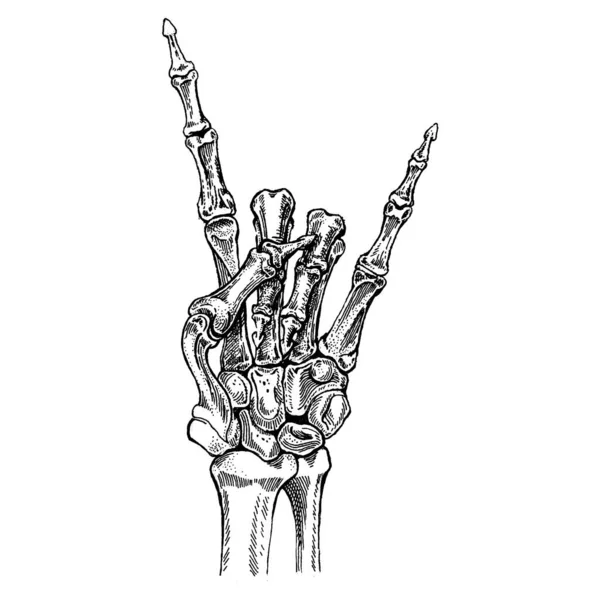 Skeleton rock hand Vector Art Stock Images | Depositphotos