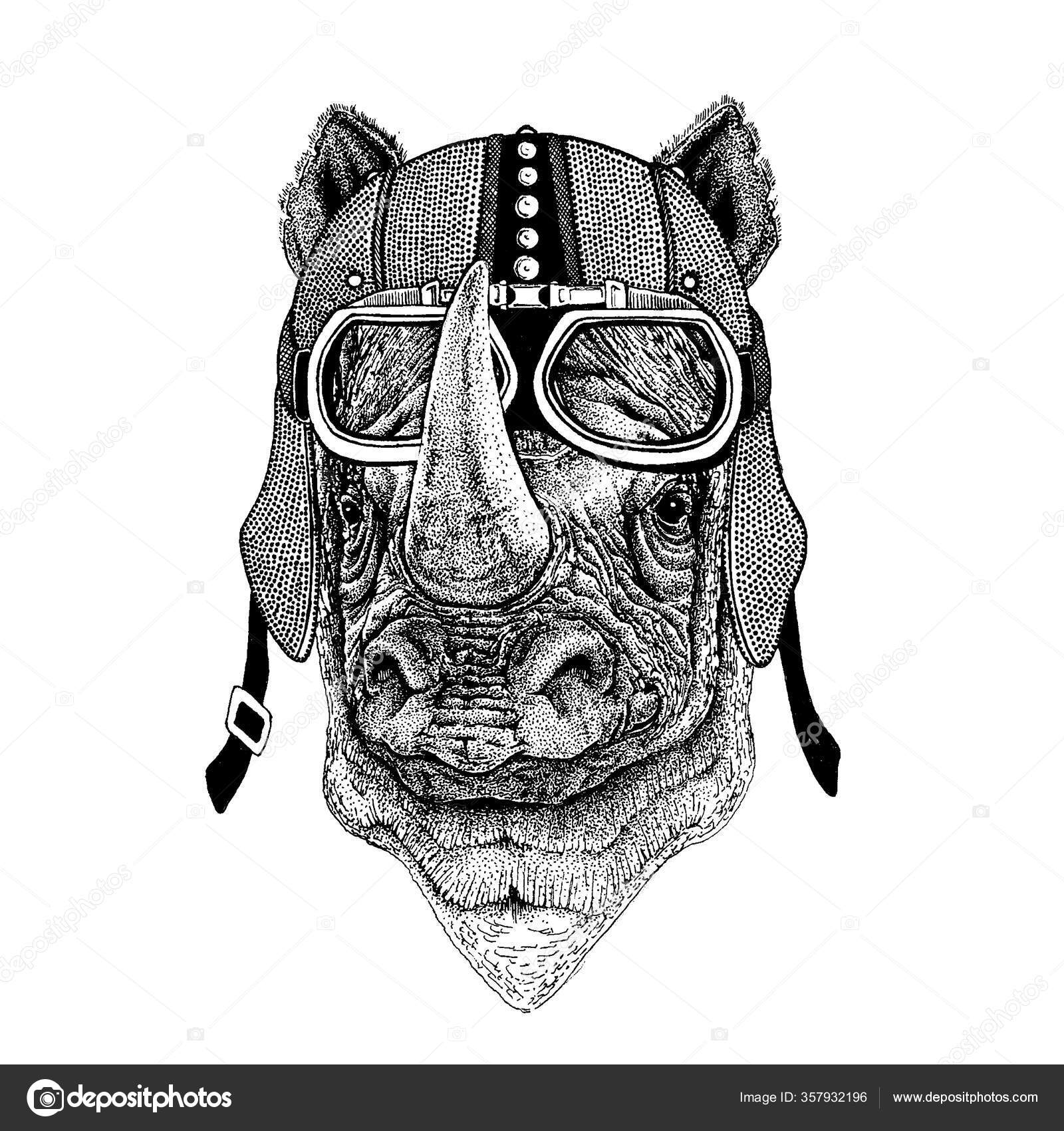 Rhinoceros, rhino wearing motorcycle, aero helmet. Biker illustration ...