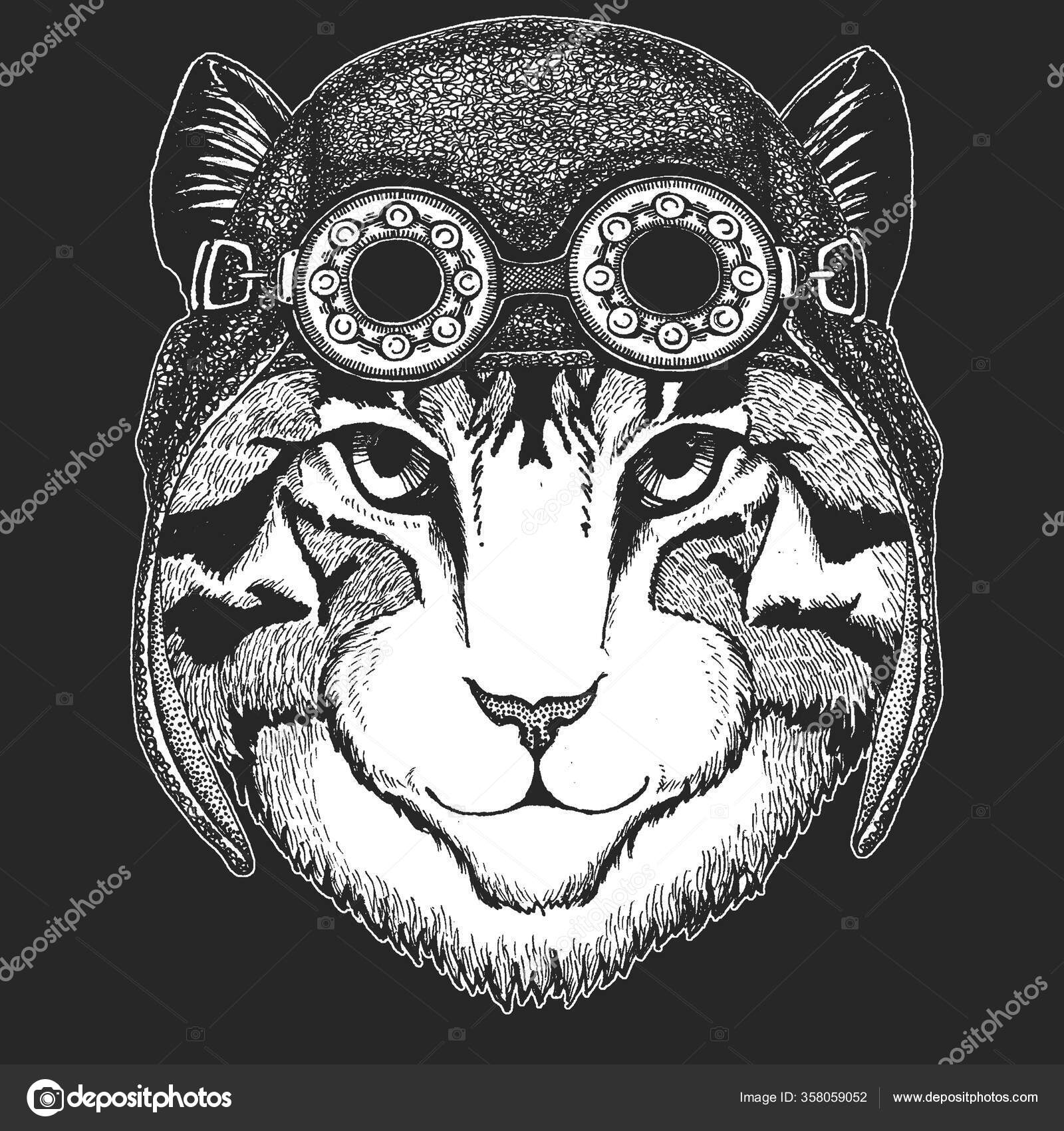 Face of domestic cat. Portrait of animal. Aviator leather helmet. Cute ...