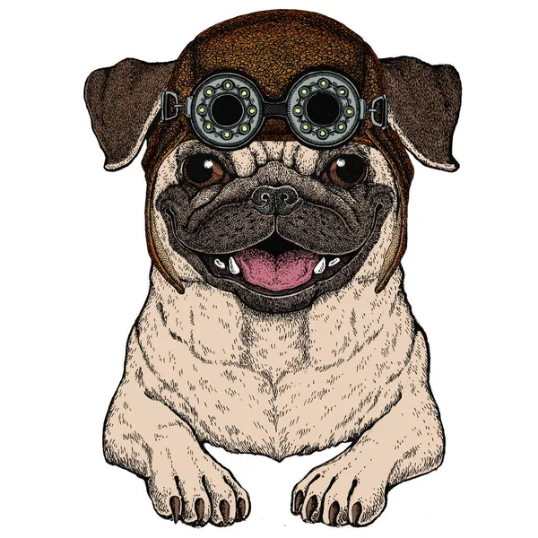 100,000 Doggles Vector Images | Depositphotos