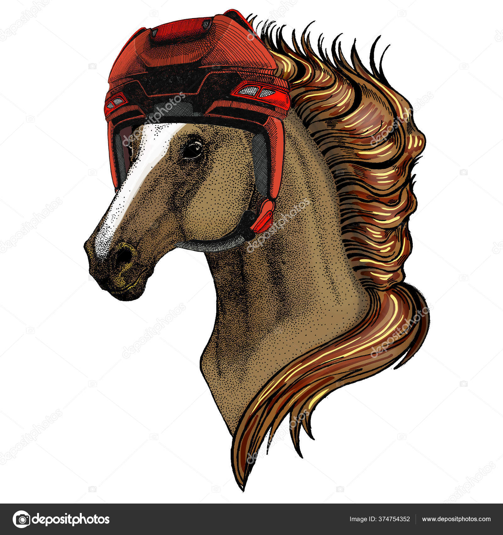 Courser Horse