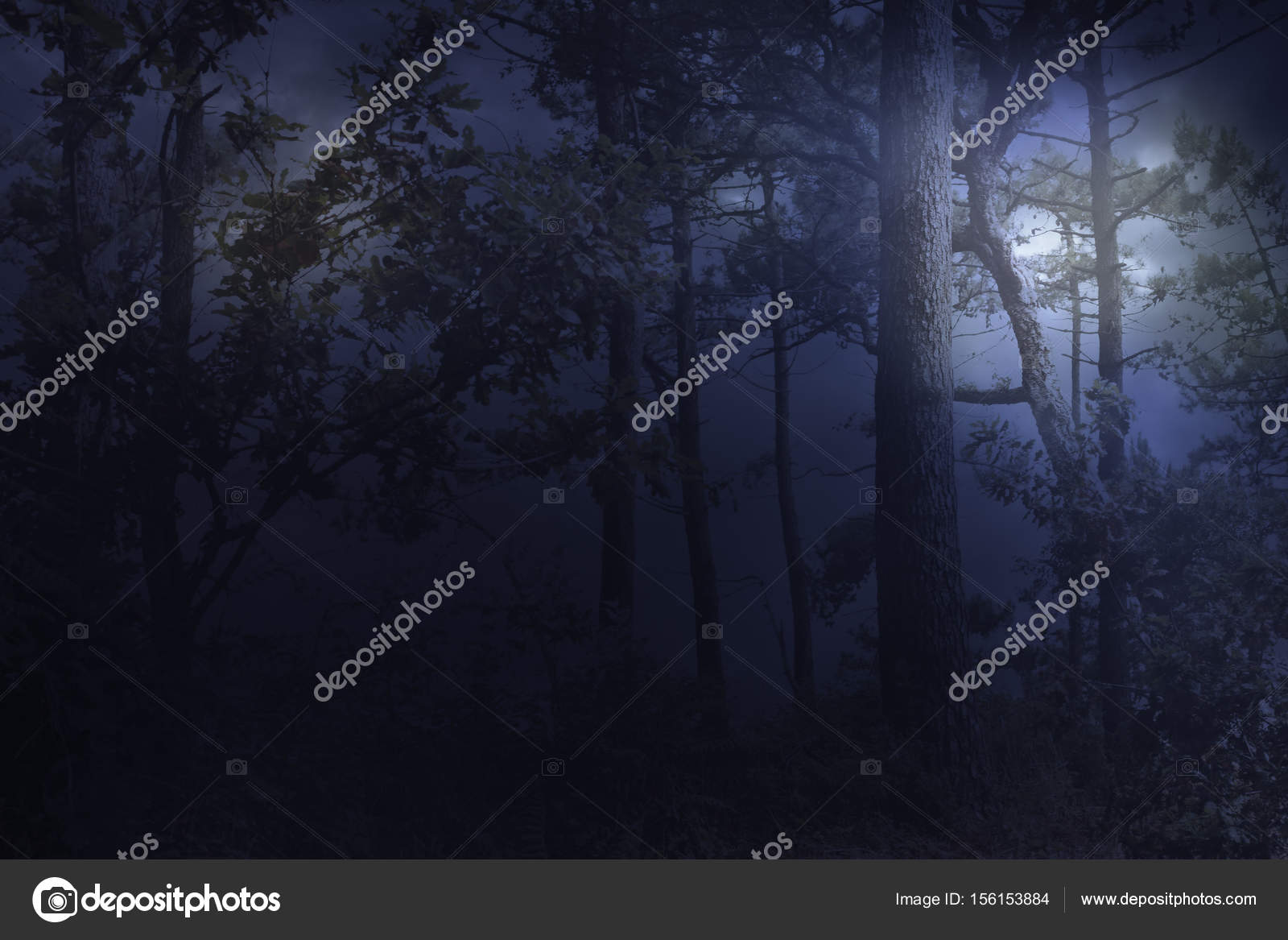 Full moon rises over a forest on a misty night — Stock Photo ...