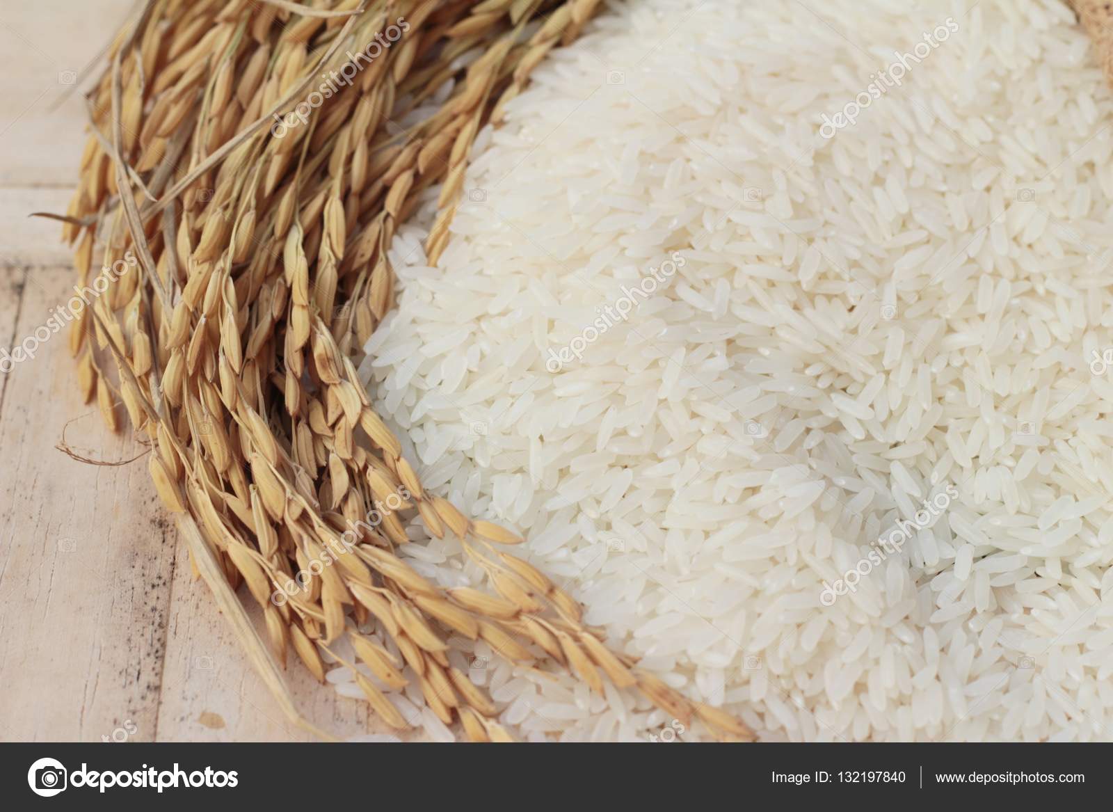 Single Rice Grain
