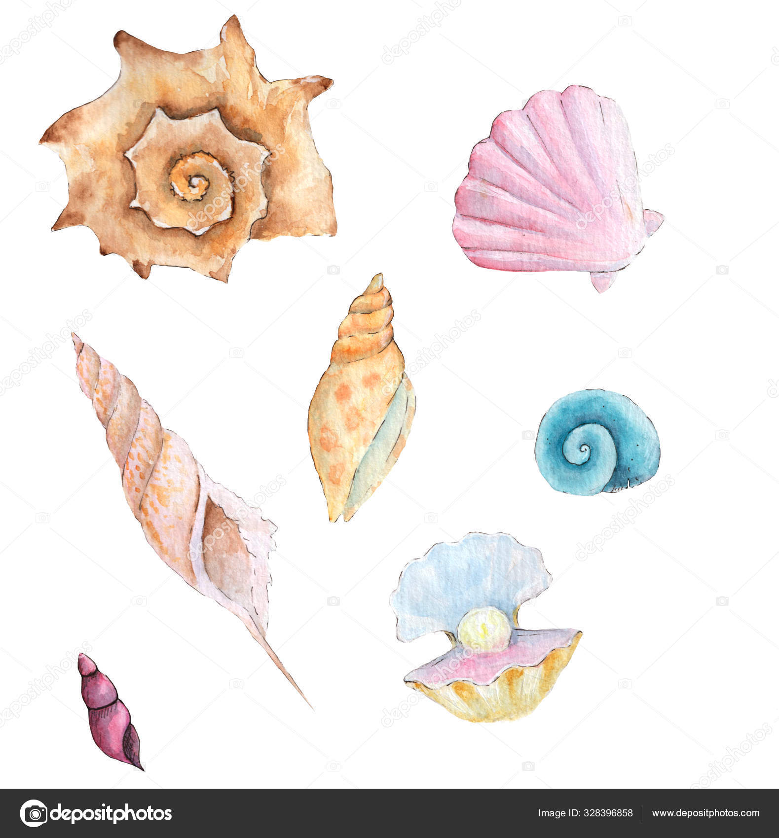 Colorful Shells Clipart Background