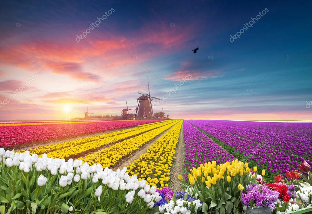 Dutch Traditional Landscaping