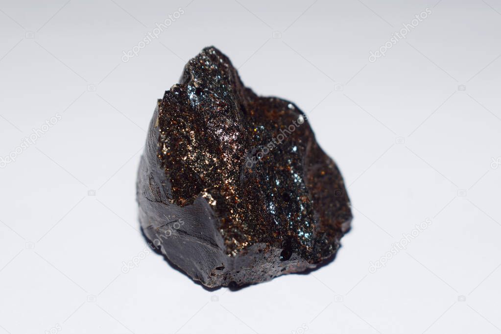 Corteza de raíz de arándano indio Rasanjan Rasvanti hierba seca india ...