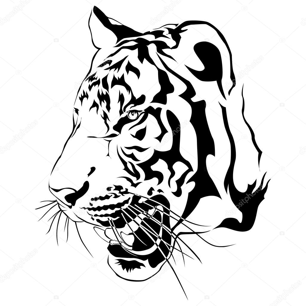 Tiger head black and white, Vector Stock Vector Image by ©jirawat ...