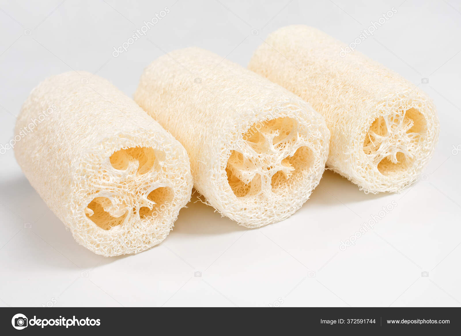 Luffa Loofah Vegetable Sponge Extracted Luffa Plant Light Background ...