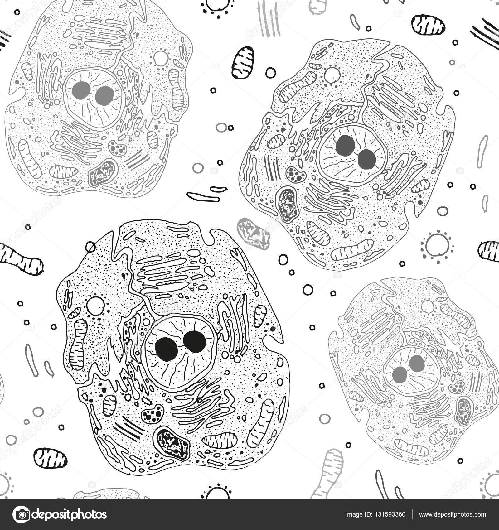 Handdrawn Cell Pattern Stock Illustration by ©annyart #131593360