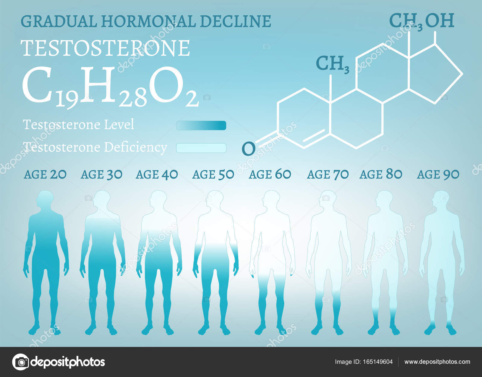 Gradual hormone decline — Stock Vector © annyart #165149604