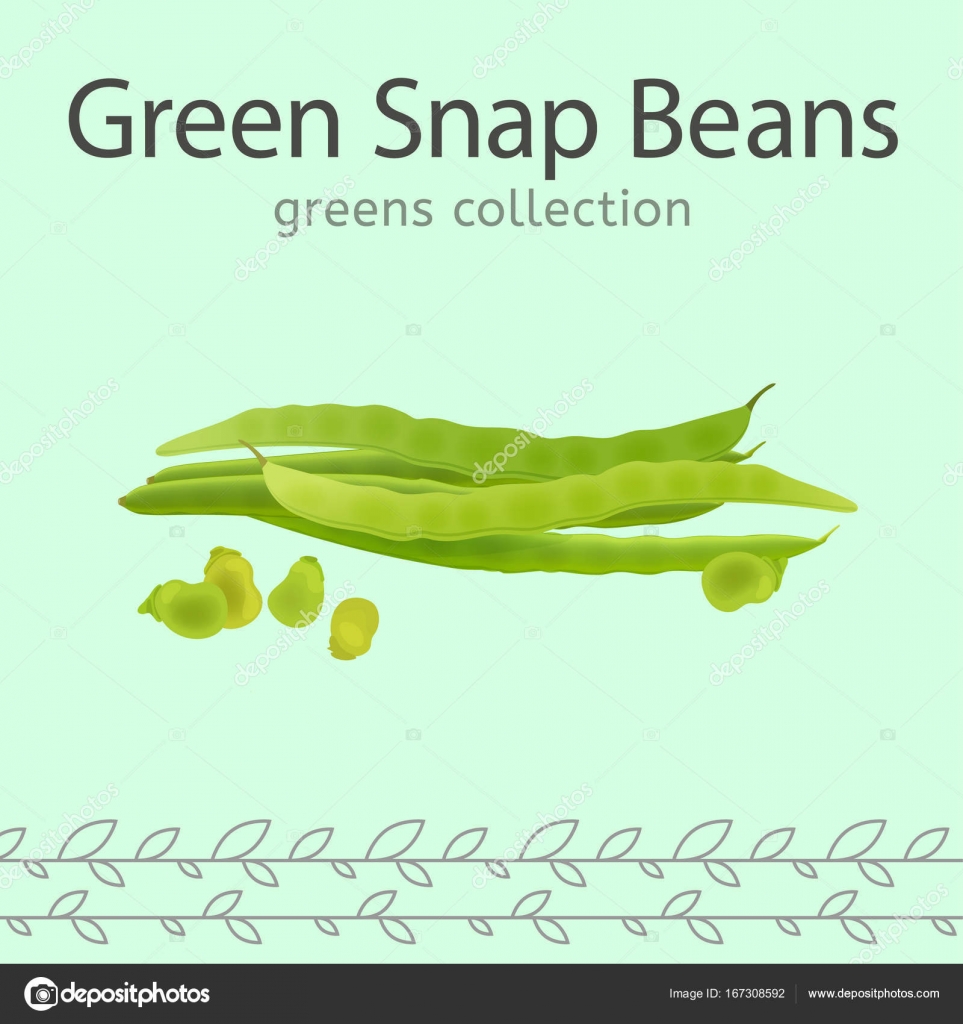Green snap beans Stock Vector by ©annyart 167308592