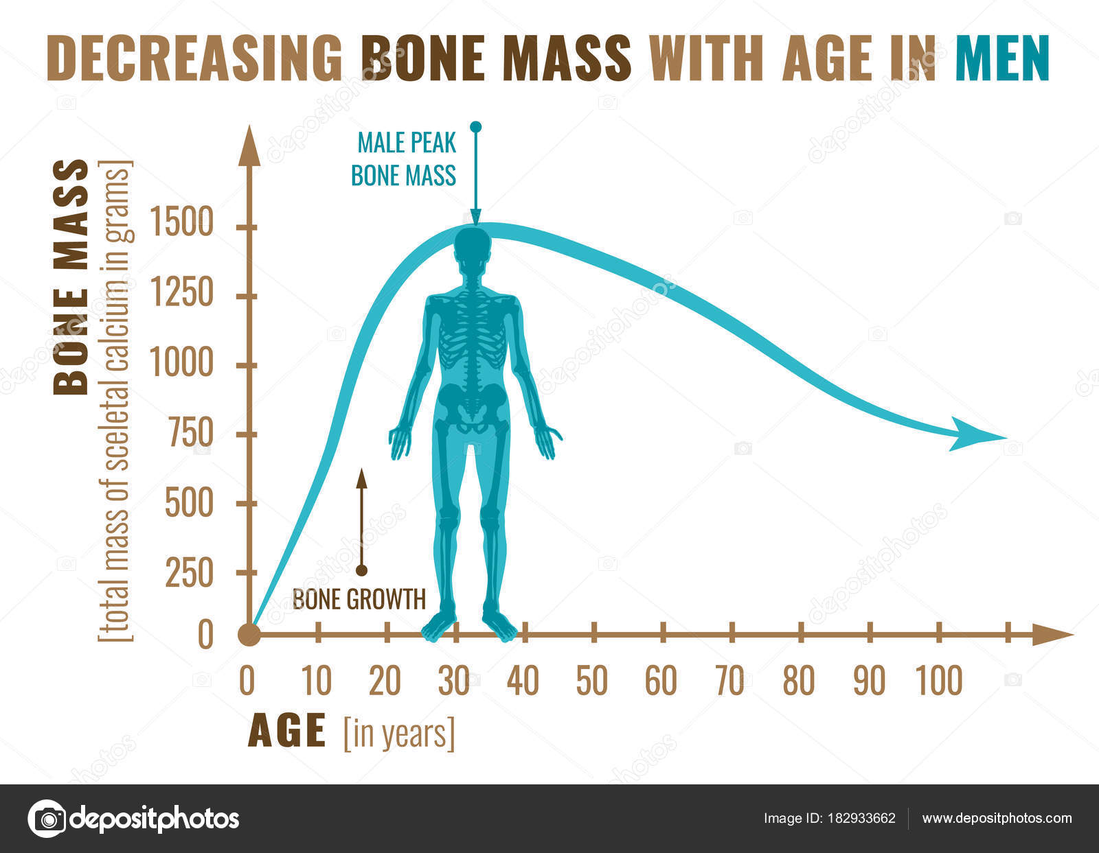 Decreasing bone mass Stock Vector Image by ©annyart #182933662