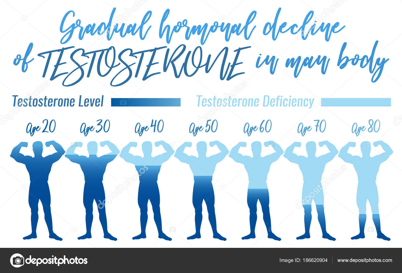 Gradual hormone decline — Stock Vector © annyart #186620904