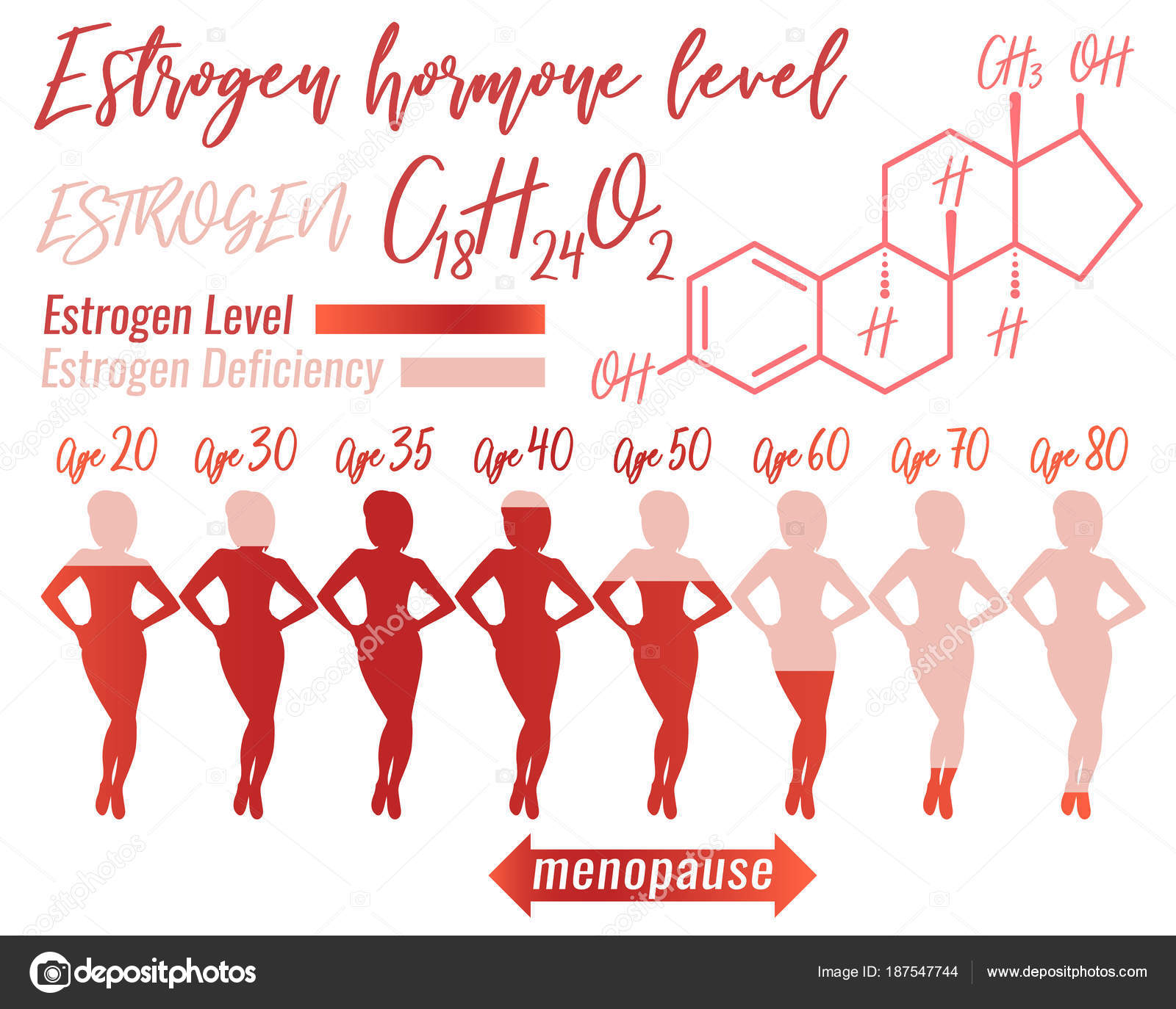Estrogen Woman Infographic Stock Vector Image by ©annyart #187547744