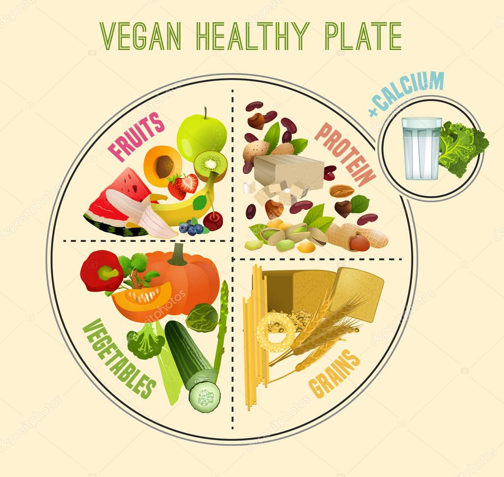 Healthy Eating Plate — Stock Vector © annyart #190506382