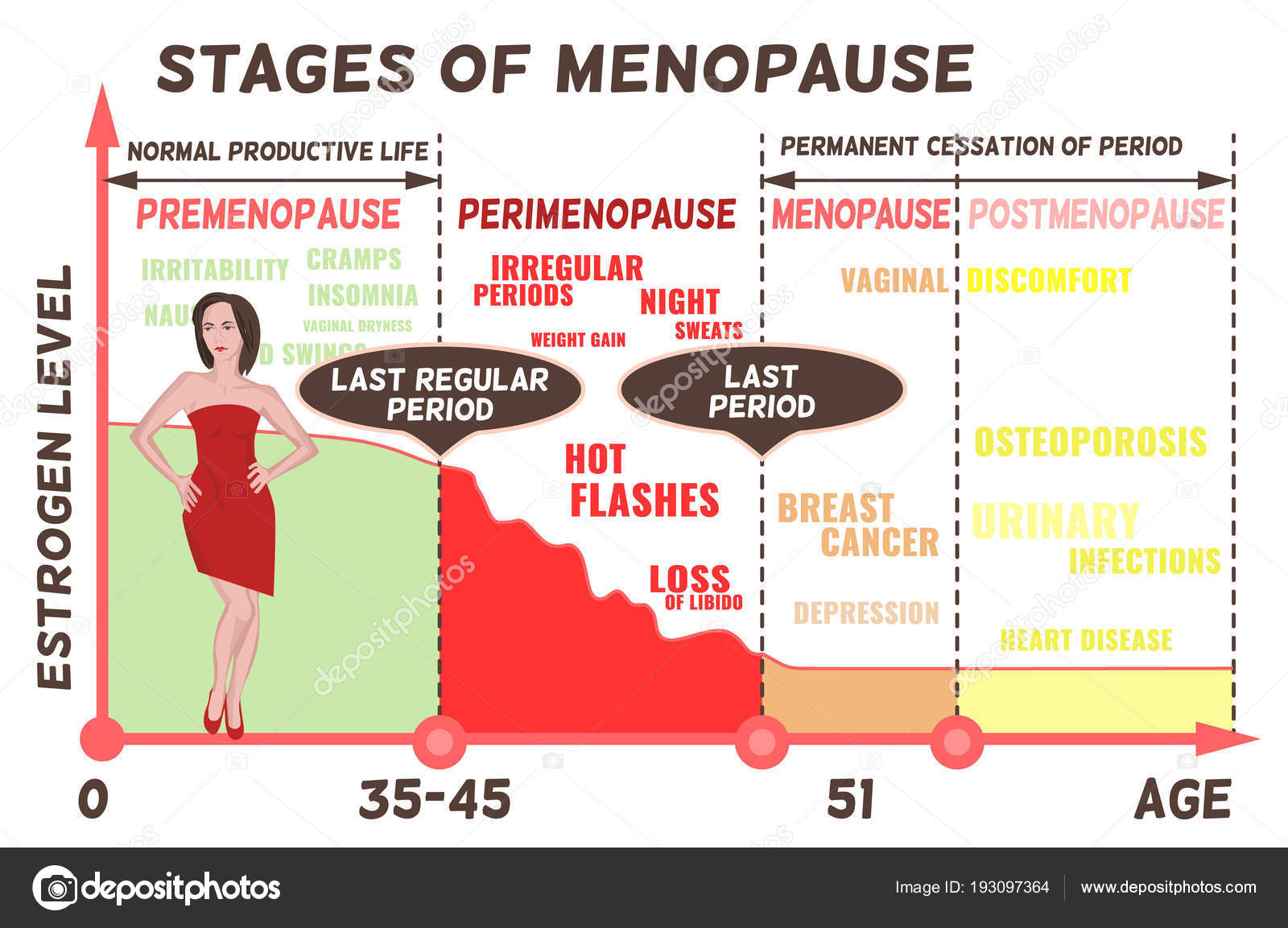 Etapas Y Síntomas De La Menopausia Vector Gráfico Vectorial © Annyart