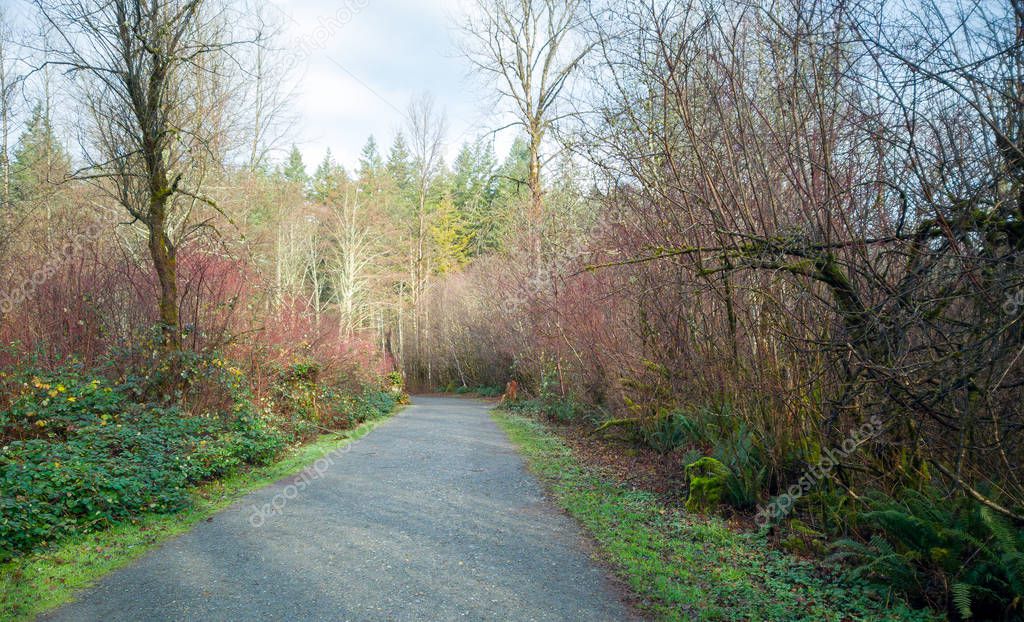Imágenes de la desafiante ruta Rattlesnake Ridge Trail con árboles ...